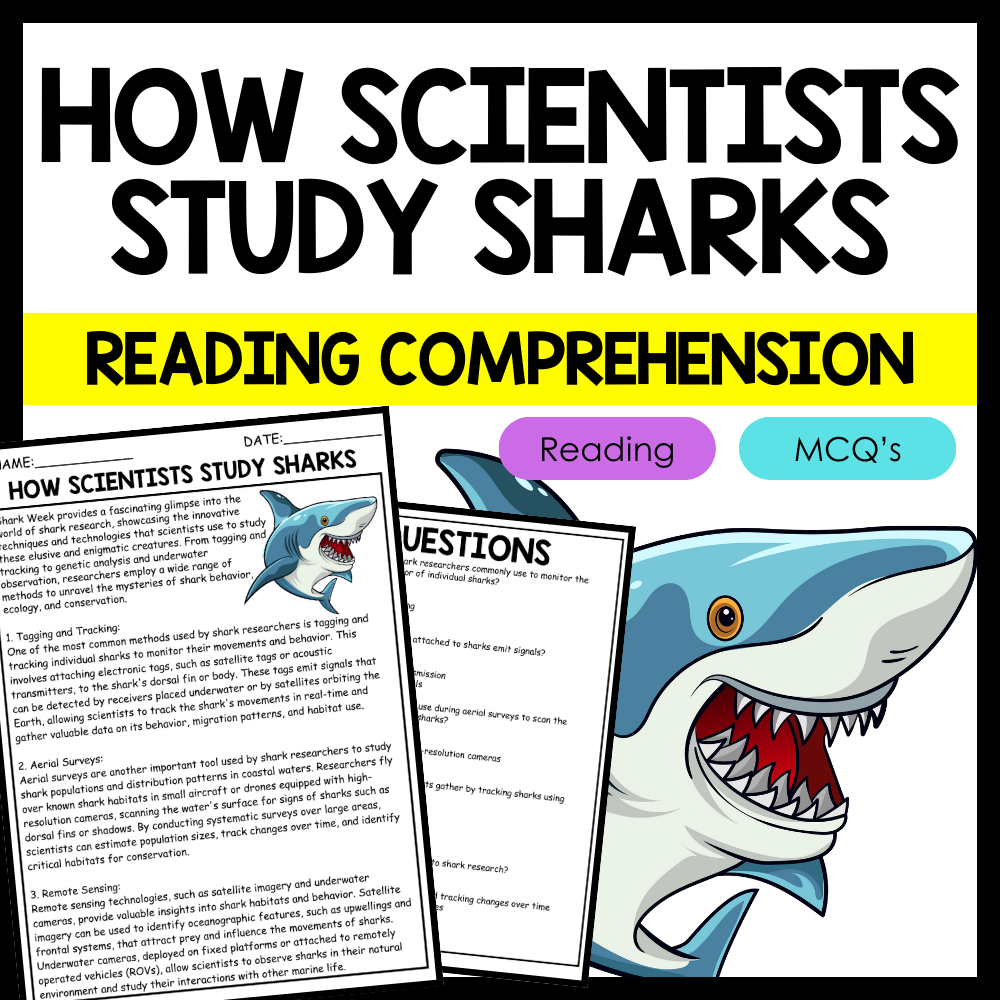 How Scientists Study Sharks Reading comprehension – Ideas