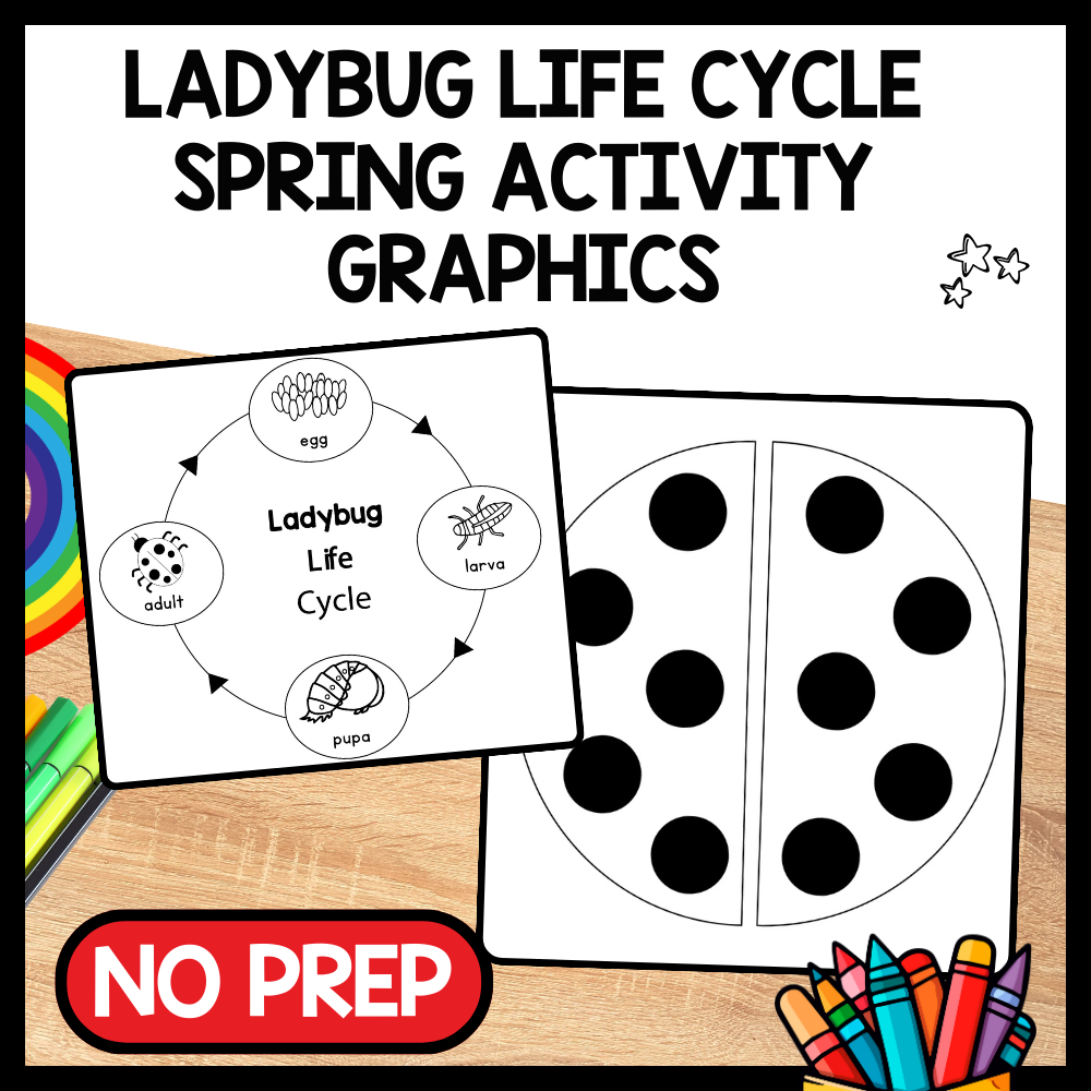 Ladybug Life Cycle Spring Activity Graphics – Ideas