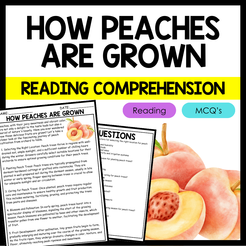 How Peaches Are Grown Reading Comprehension – Ideas